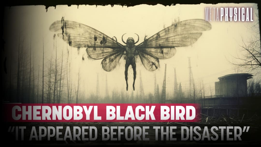Mysterious Black Bird & Other Radioactive Cryptids | Metaphysical