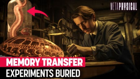 Rise TV - Live shows, Documentaries, Series & more